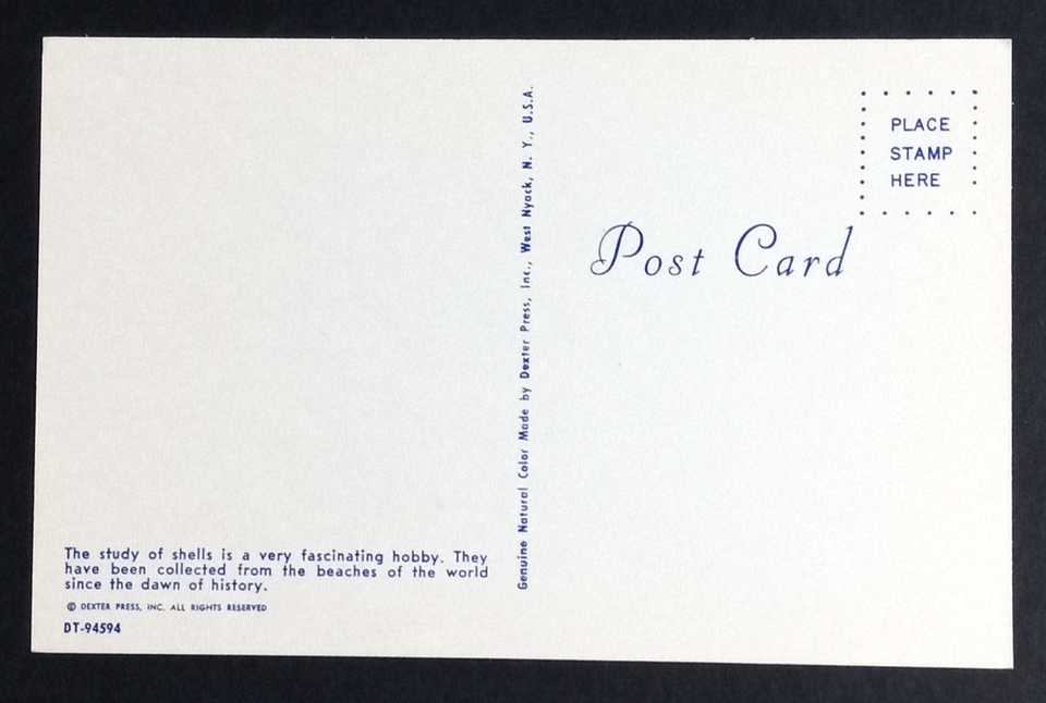 Story of Shells Sea Beach Postcard 1956 UNP Poem Seashells Dexter Press ...