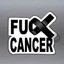 f**k cancer with black ribbon vinyl sticker 100 x 87mm car bumper ...