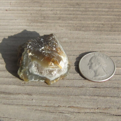 Natural Gobi agate/Jasper stone for Bonsai Suiseki gm839 | eBay