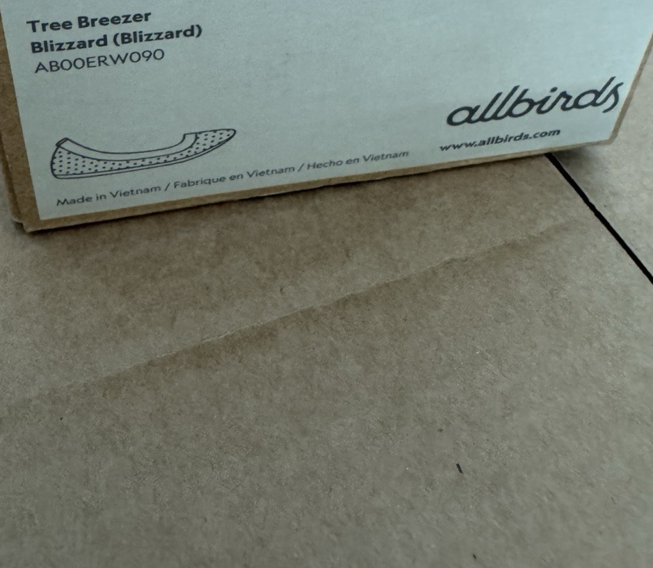 NEW ALLBIRDS TREE BREEZER BLIZZARD WHITE BALLET FLATS SHOES SLIP WOMENS ...
