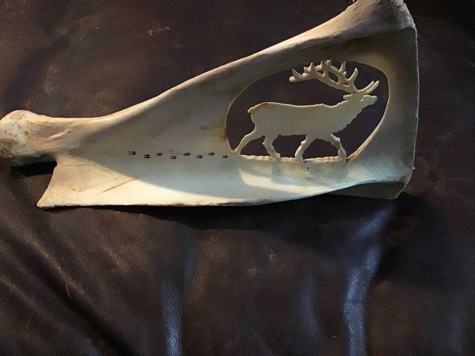 Bone Art Laser cut Elk on Shoulder/Scapula 14" Primitive Folk Art | eBay
