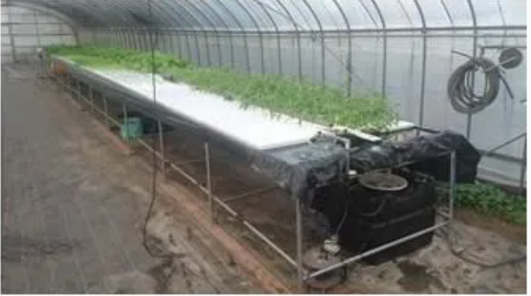 Premium Hydroponic Outdoor Grow System for business, Max 1,920plants ...