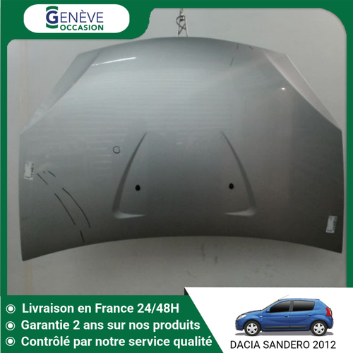 🇫🇷 CAPOT DACIA SANDERO ♻️ 6001551793 3007545044817 | eBay
