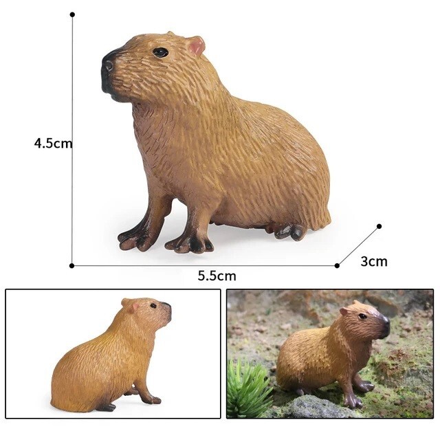 Capybara Animal Toy PVC Action Figure Doll Kids Toys Party Gift | eBay