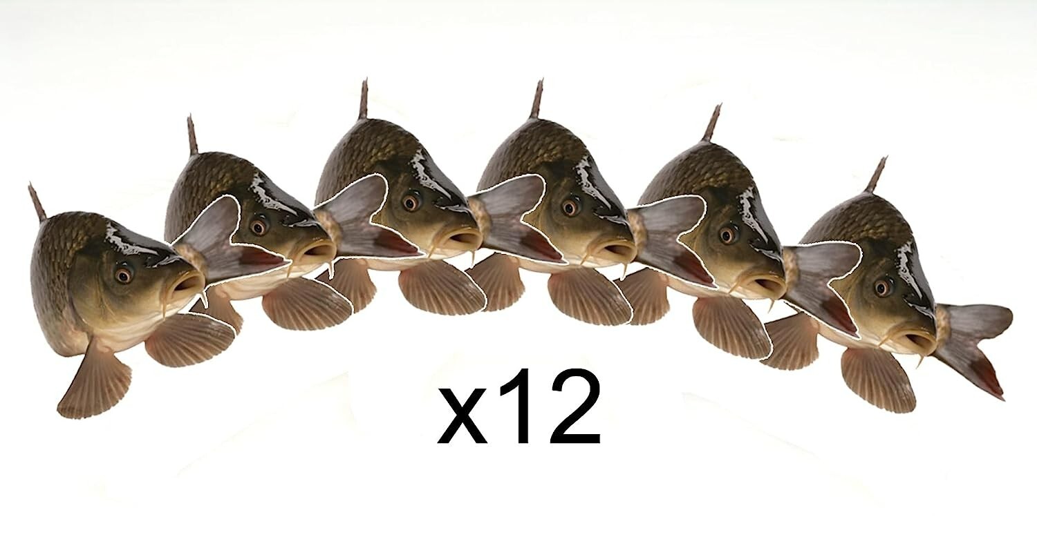 Fishing Carp Fish Bunting Birthday Events Party Decorations 12pcs | eBay UK