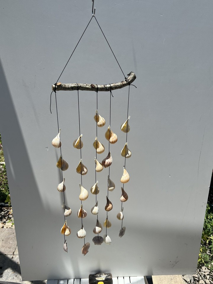 3 inch Pear Whelk 5 String Sea Shell Wind chimes KIT Wall Patio Beach ...