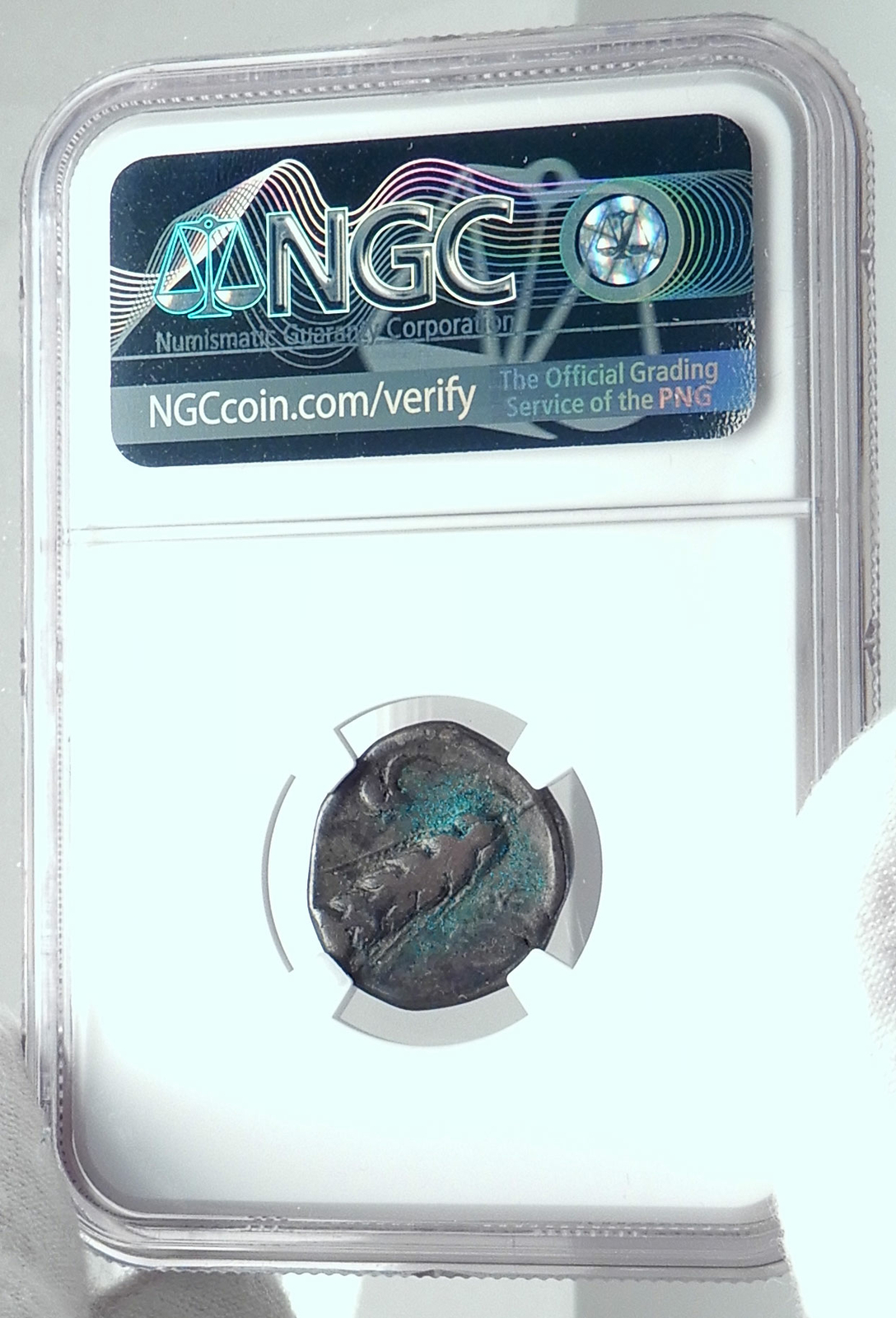 METAPONTION in LUCANIA Authentic Ancient 400BC Silver Greek Coin NGC ...