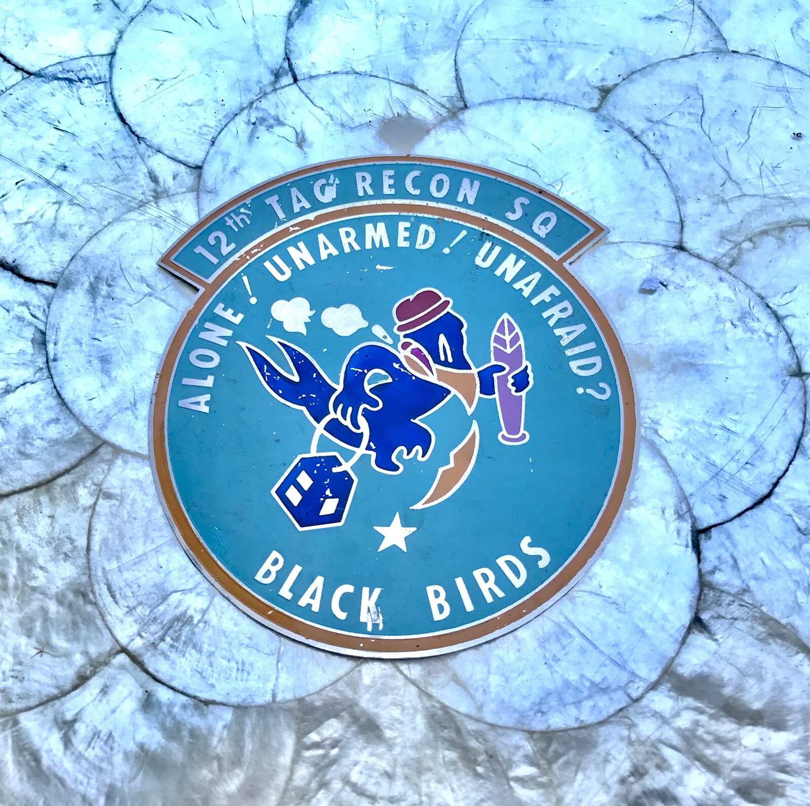 Alone Unarmed Unafraid? 12th Yah Recon Squad Black Birds Metal Plaque ...