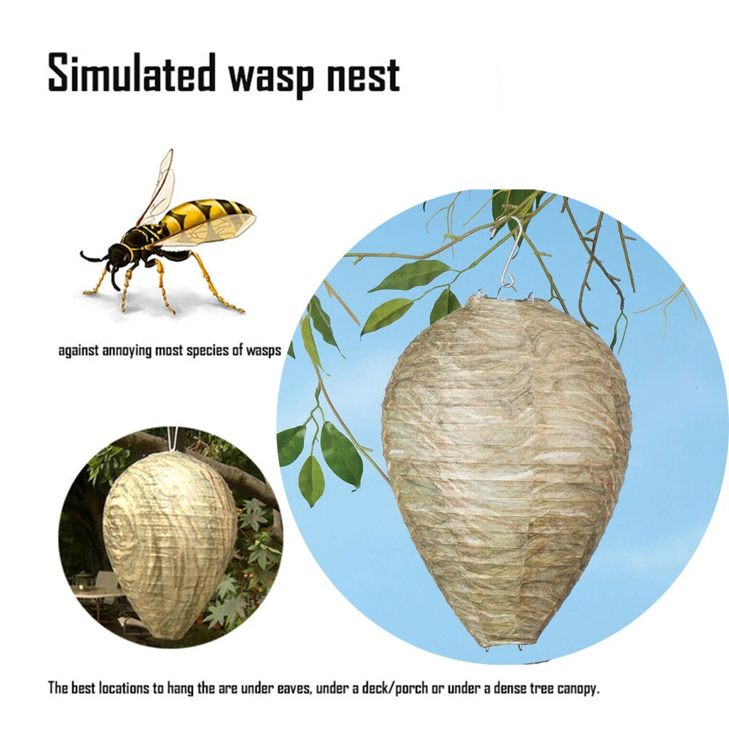 Wasp Nest In Outdoor Ceiling Fan | Shelly Lighting