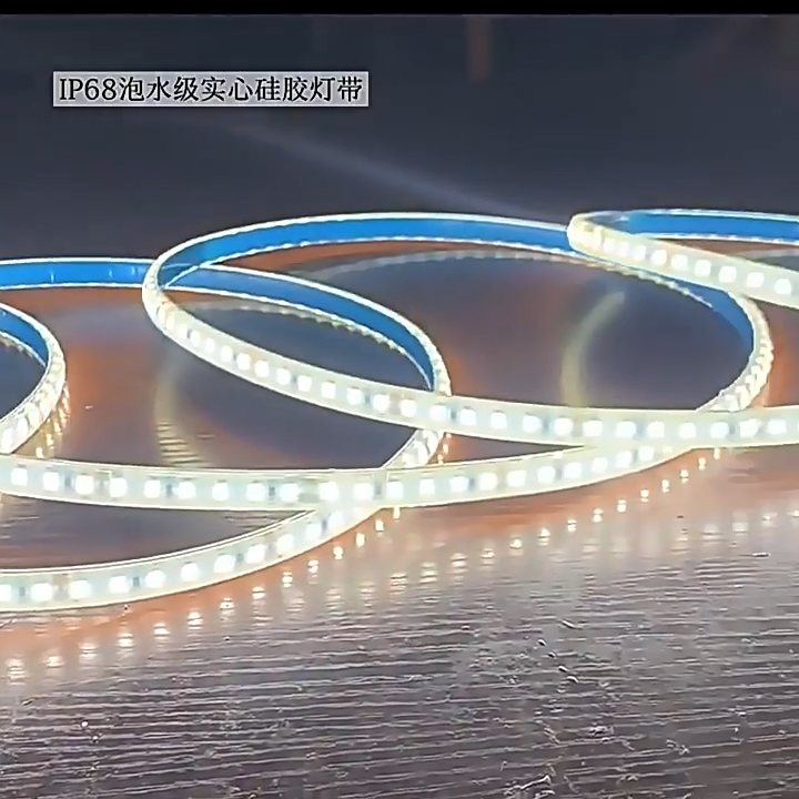 IP68 Waterproof LED Strip Light 2835 DC 24V Underwater Outdoor Flexible ...