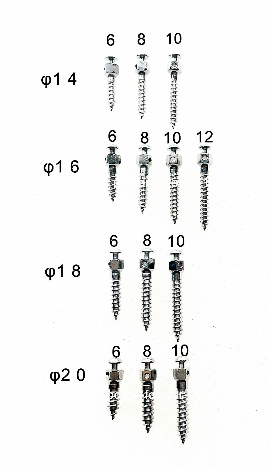 Dental Mini Screw Micro Implants Orthodontic Bone Anchor Screws ...