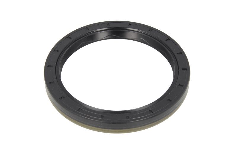 Shaft Seal, crankshaft REINZ 81-10129-00 | eBay Australia