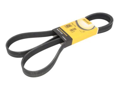V-Ribbed Belt CONTITECH 7PK1770 | eBay Australia