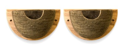 House Martin Nest Box Single Double Nest Nesting Bird Box | eBay UK