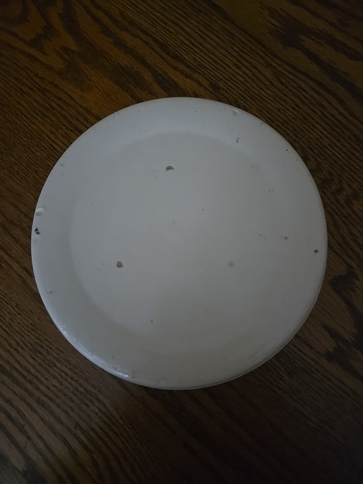 Vintage Roseville Pottery BABY CHICKS Plate Dish Bowl Juvenile Childs ...