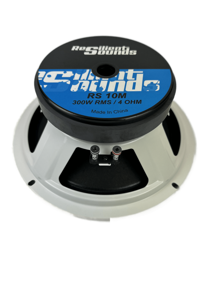 RESILIENT SOUNDS RS 10M 300w rms 4ohm 10" speaker | eBay