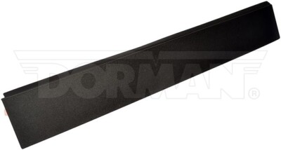 Dorman 47875 Sliding Door Molding fits Grand Caravan Town and Country ...