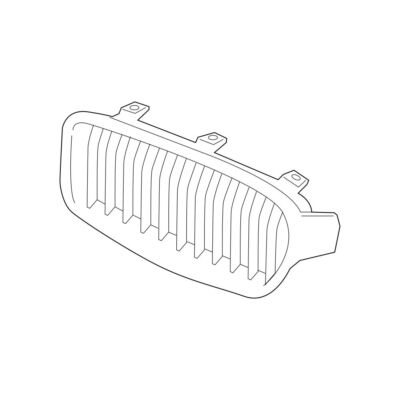 Genuine OEM Front Driver Left Grille For BMW 51135A3D031 | eBay