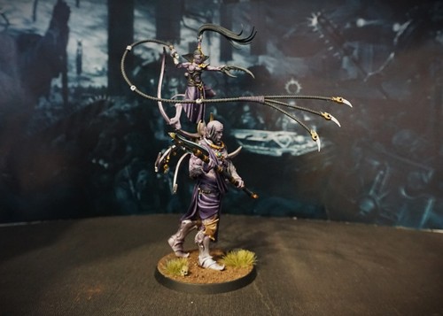 Syll'Esske: The Vengeful Allegiance painted Warhammer 40k AoS Slaanesh ...