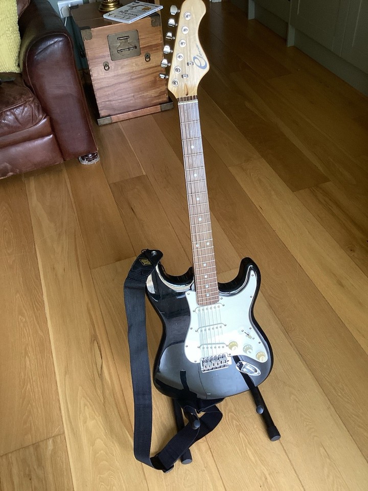 Eleca Electric Guitar 6-String Black Finish With New Set Of Ernie Ball ...