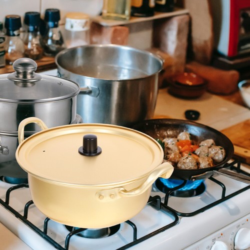 Stainless Steel Kitchen Pots Ramyun Cooker Korean Noodle Cooking to ...