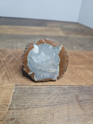 Dugway Thunderegg Polished Rock Geode Blue Agate. Skull With Horns ...