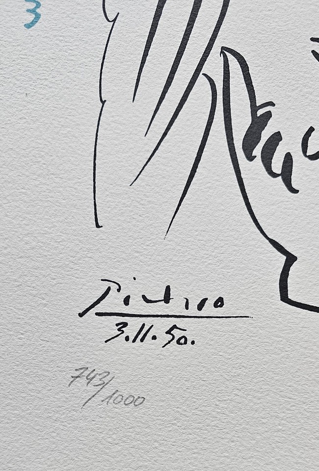 PABLO PICASSO FEMMES DU MONDE ENTIER HAND NUMBERED 743/1000 LITHOGRAPH ...