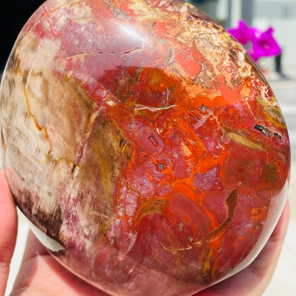 2.55LB Natural Red Petrified Wood Fossil Crystal Landscape Stone ...