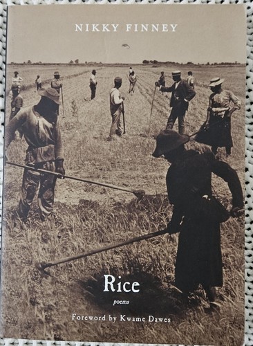 Rice: Poems by Finney, Nikky paperback very good 9780810152328| eBay