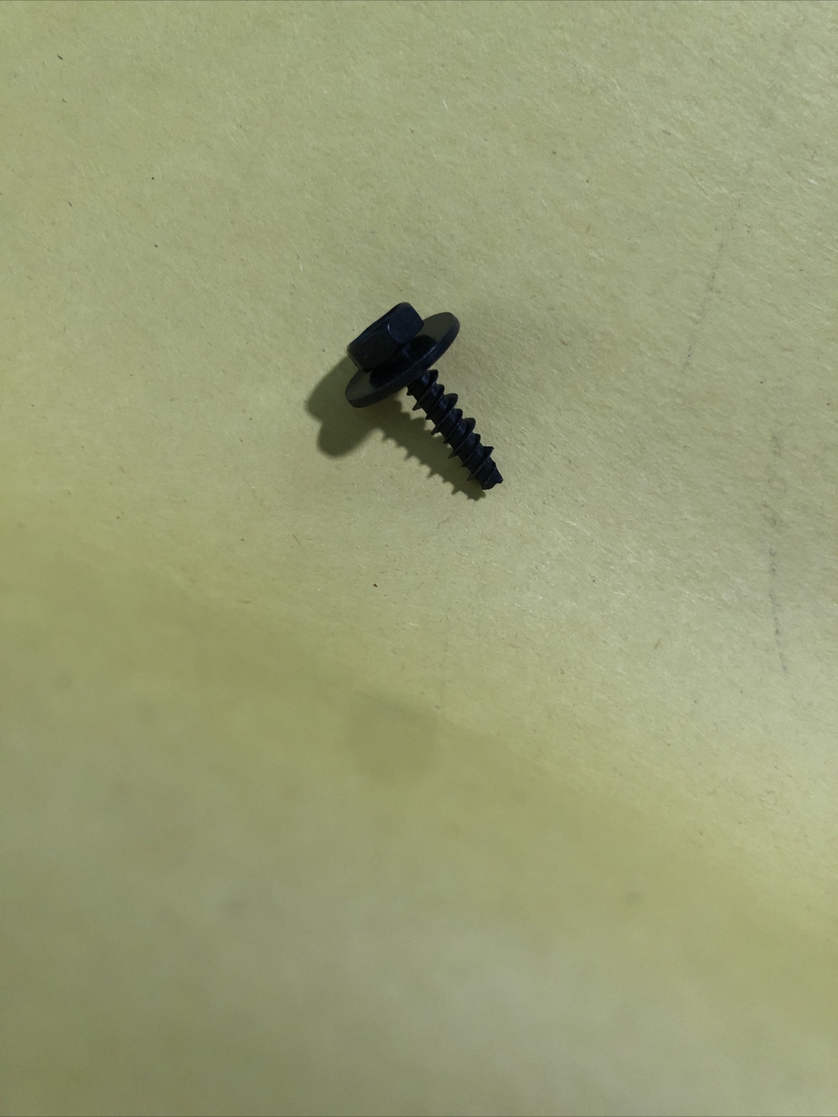 OEM General Motors GM Lock Pillar Trim Bolt 11609465 NOS for sale ...