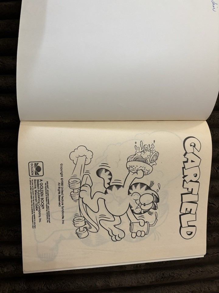 Golden Garfield Trace & Color Coloring Book 1984 Tracing Tissue Cartoon ...