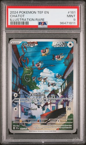 Chatot Illustration Rare 181/162 2024 Pokemon Temporal Forces *811 PSA ...