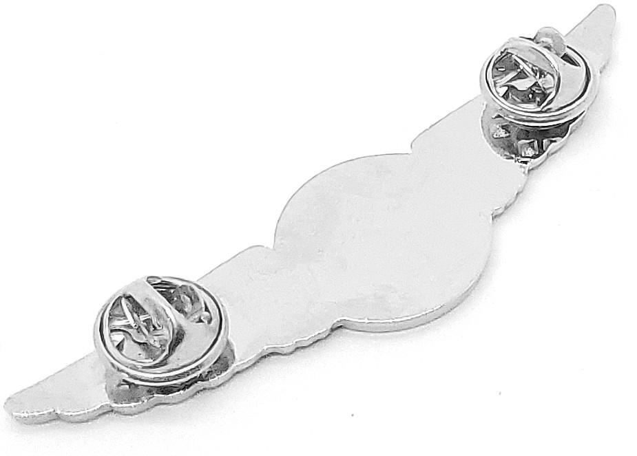 USN Aircrew Wings Badge Pin USMC Marine Coast Guard SILVER US Navy Air ...