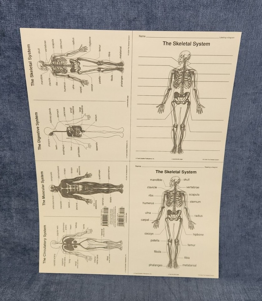2 Tabernacle Paper Model 1 Laminated by Rose Publishing (2005 ...
