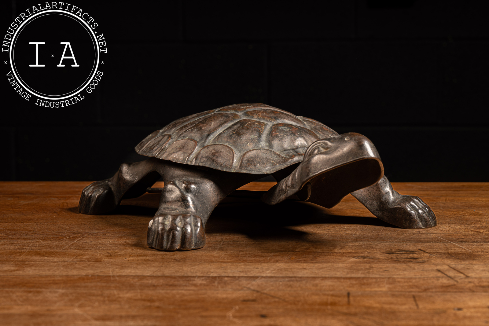 Early 20th Century Cast Iron Turtle Spittoon | eBay