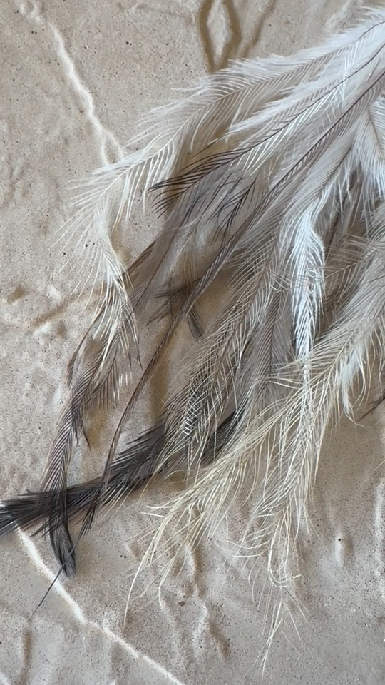EMU Feathers TUFT-Pincher - EARRINGS, CLOAKS, FLY FISHING, JEWELLERY ...