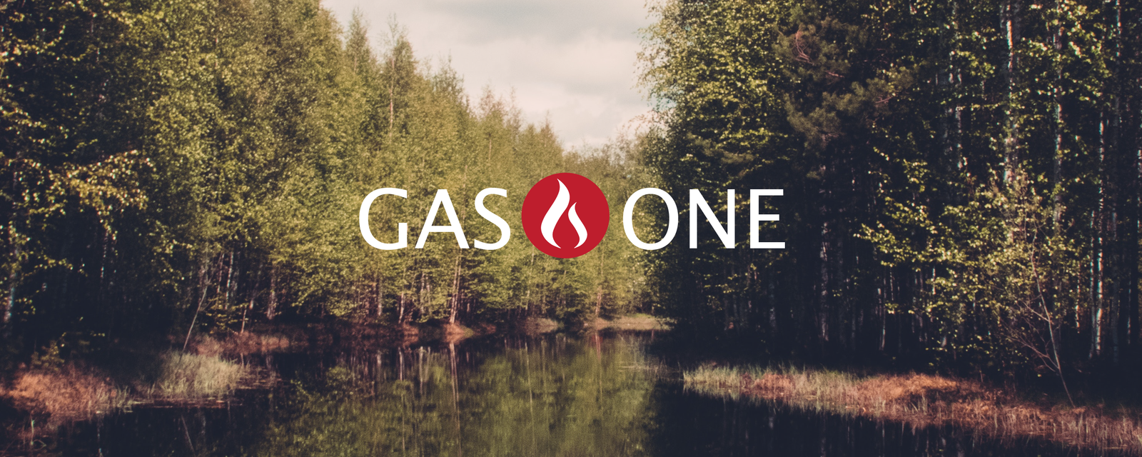 Gasone/Alpha | eBay UK Stores