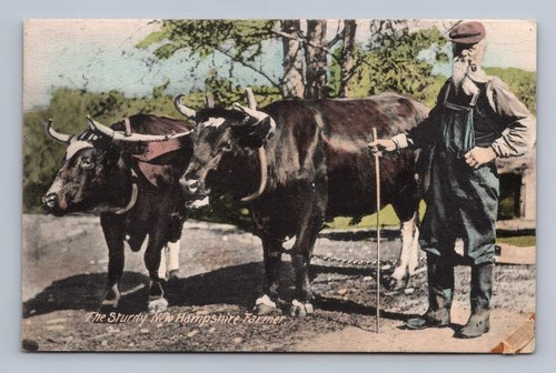 "The Sturdy New Hampshire Farmer" Antique Hand Colored Ox Pipe Keene NH ...