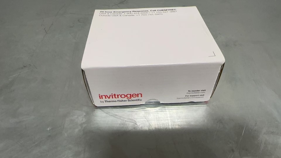 Invitrogen Countess Cell Counting Chamber Slides, 50/box - C10283 | eBay