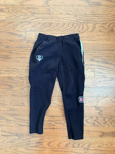 Baseball Lifestyle 101 BL101 Game Day Youth Joggers Boys Black Purple ...