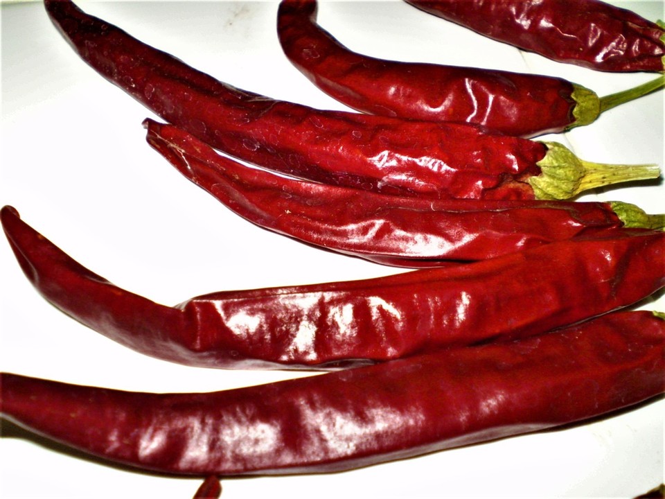 Mexican Finger Hots red chili pepper seeds NON GMO heirloom open ...