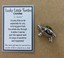Ganz - Lucky Little Turtle Pocket, Desk or Table Good Luck Charm w Card ...