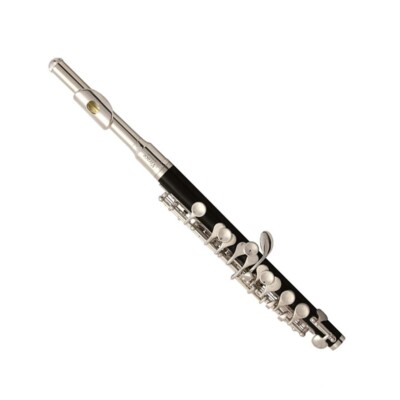 TREVOR JAMES VIVACE BY KURIOSHI PICCOLO Silver Plated | eBay UK