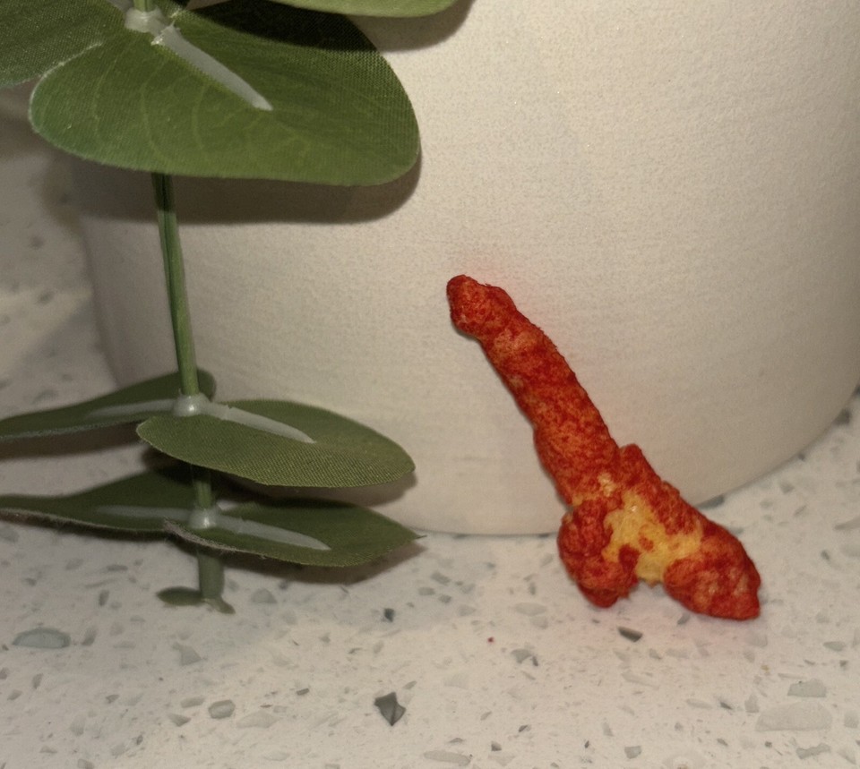 EXTREMELY RARE ONE OF A KIND DINOSAUR PENISAURUS SHAPED CHEETO ...