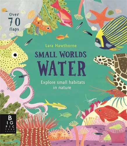 Small Worlds: Water | Lily Murray | Englisch | Buch | Papp-Bilderbuch ...