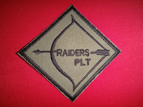 Raider Platoon Spéciale Forces Vietnam Guerre Attenué Patch | eBay
