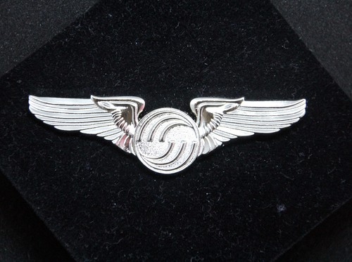Airbus Logo WINGS SILVER Large Wing Pin for Pilot Crew as uniform ...