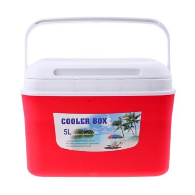 5L 13L Drinks/Food/Medicine Cooler Freezer with Cold Handle | eBay