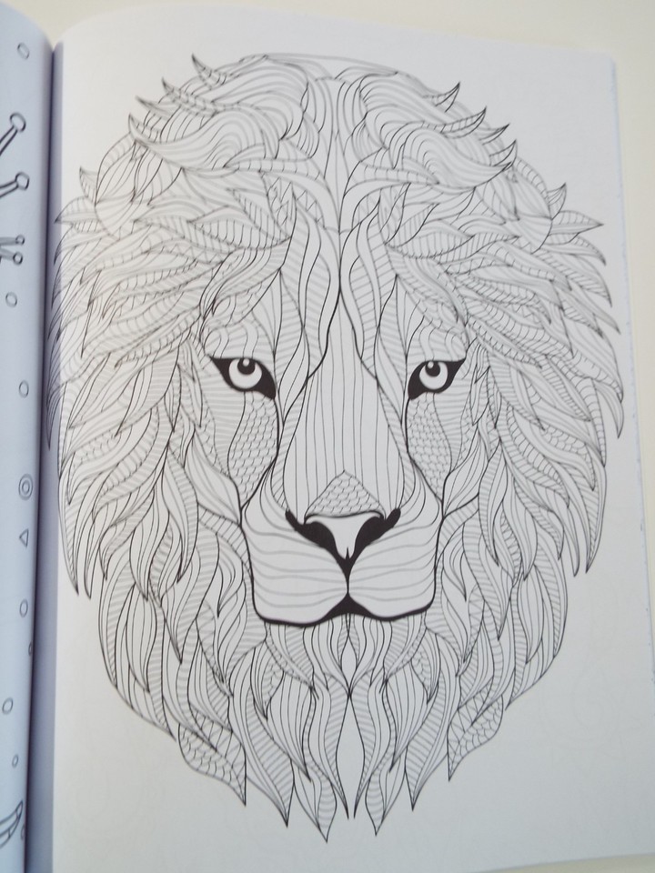 Amazing Animals Mindful Coloring Book: Lions Tigers Bears oh my Birds ...