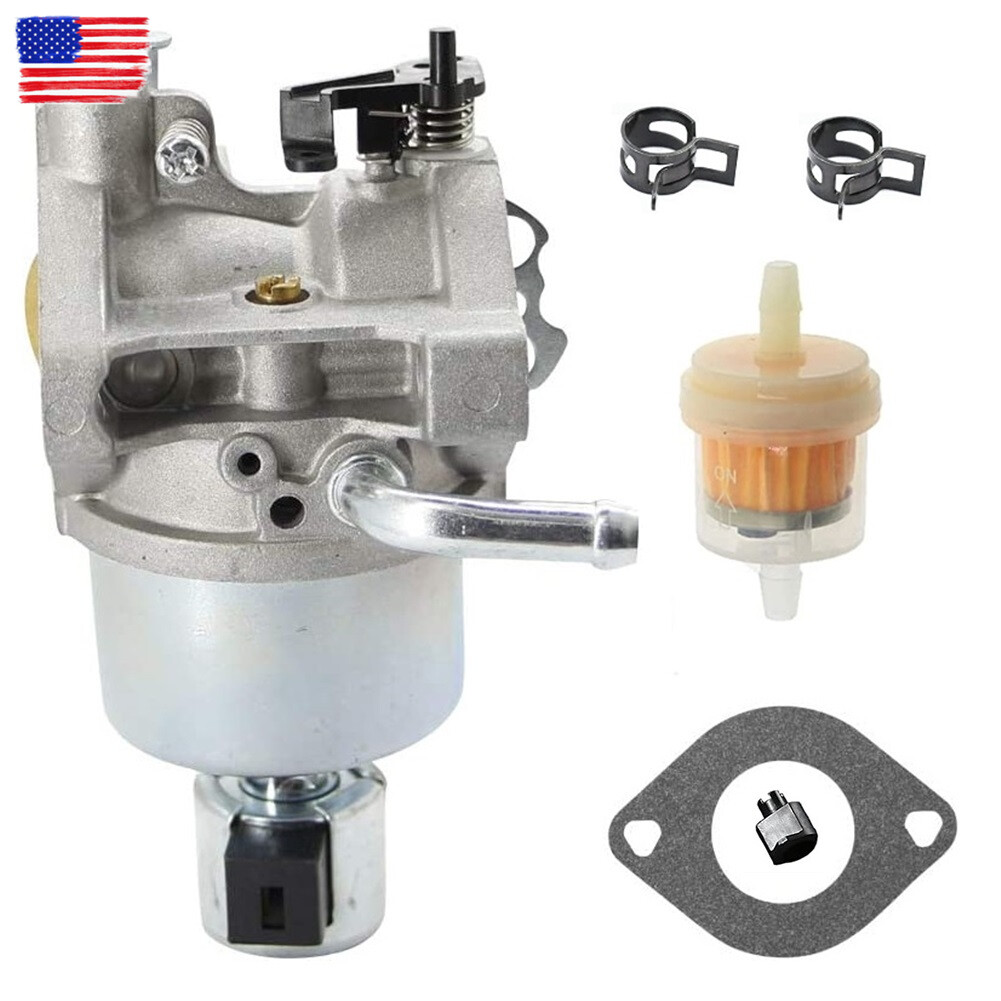 796250 795486 594601 Carburetor For Briggs and Stratton 794136 Fuel ...